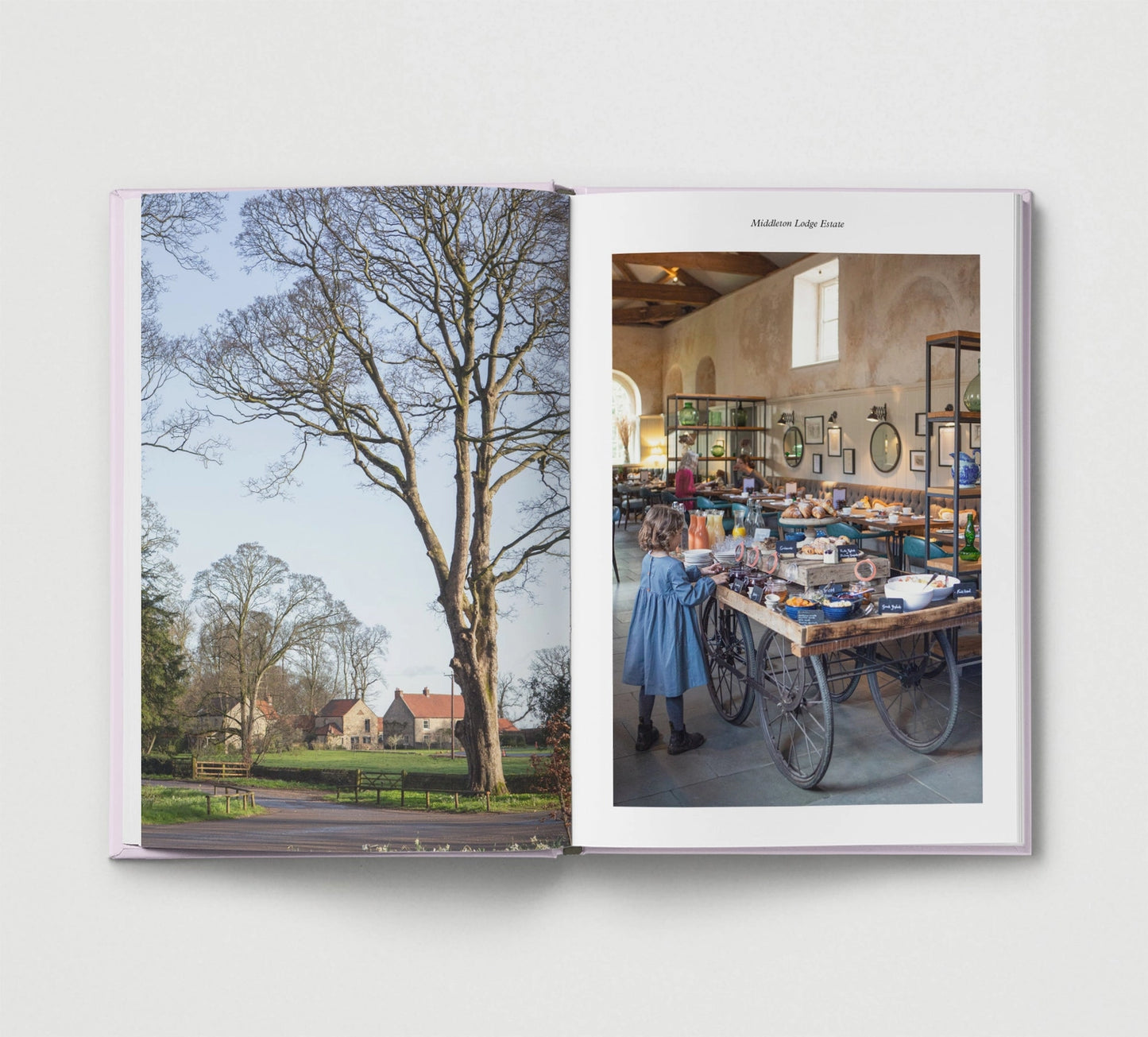 British Family Escapes 15330050376055